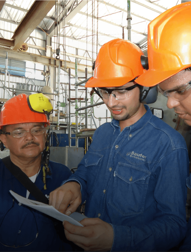 Saufer Soluciones Ingeniería de proyectos - Procesos críticos - Saufer ...