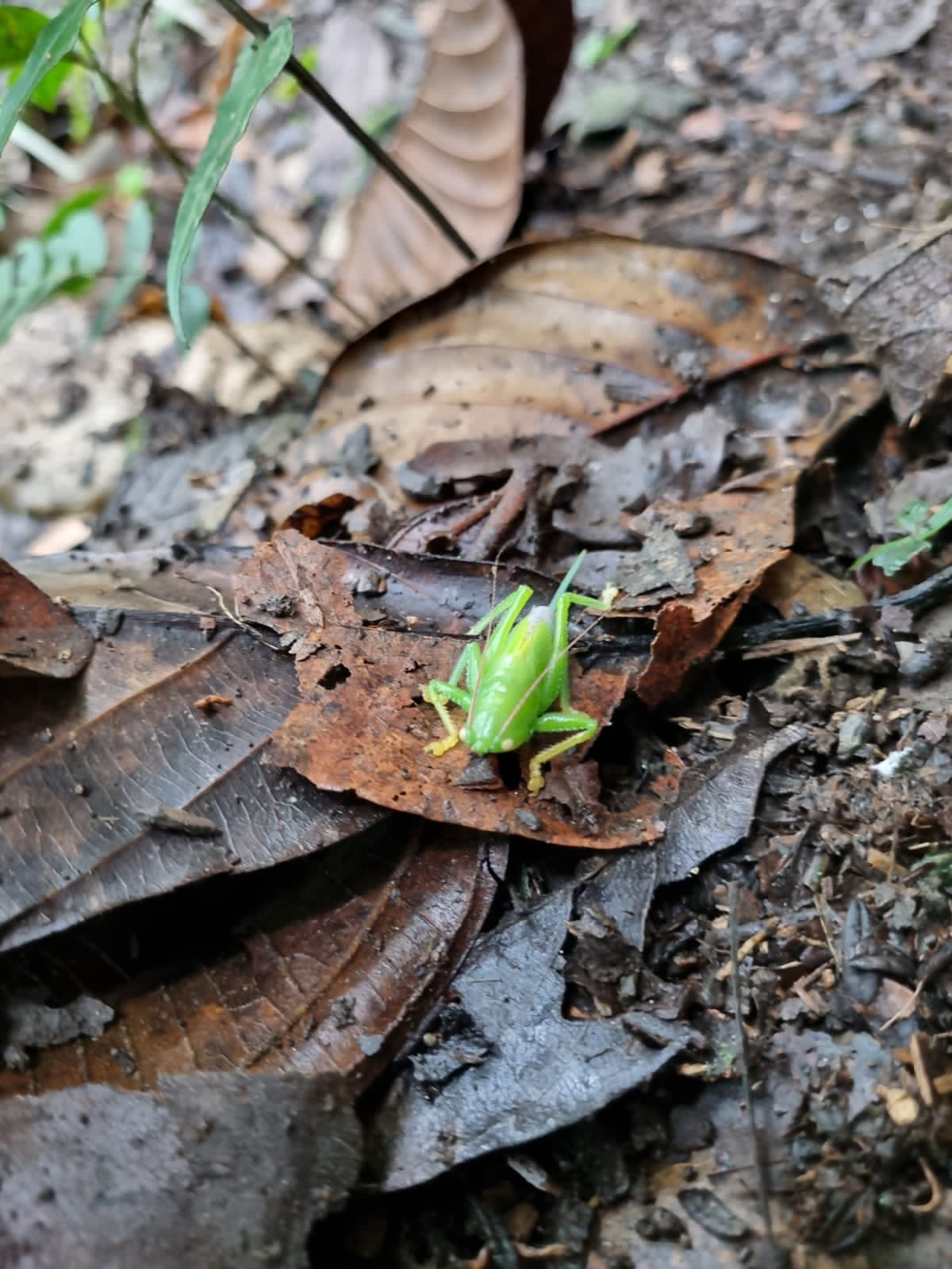 Saufer Soluciones EQUILIBRIO - Sostenibilidad. - Saufer Soluciones